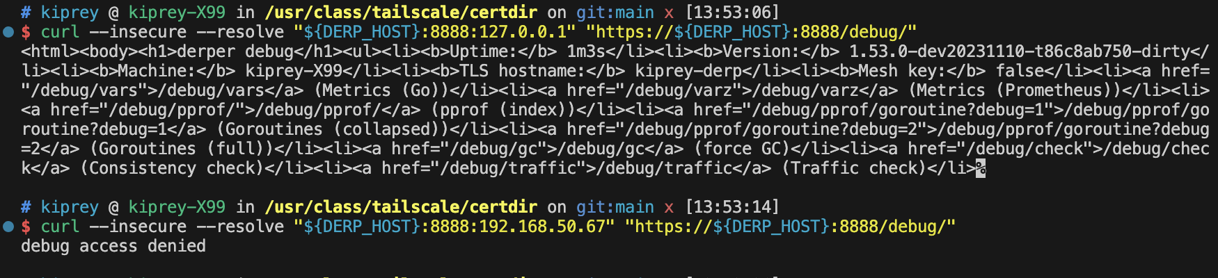 浅探 Tailscale DERP 中转服务 | Kiprey's Blog